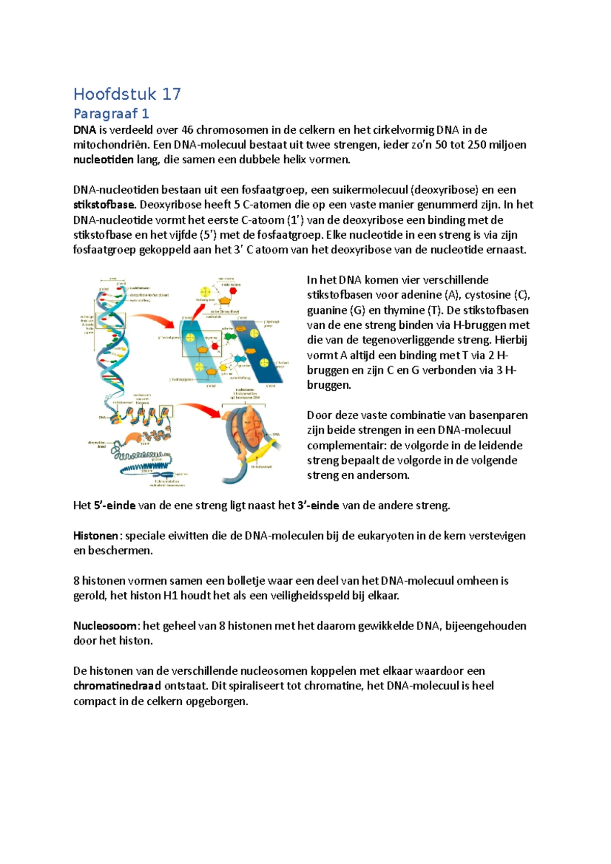 Mitose en Meiose: Celdeling en Chromosomen in Detail - Studeersnel