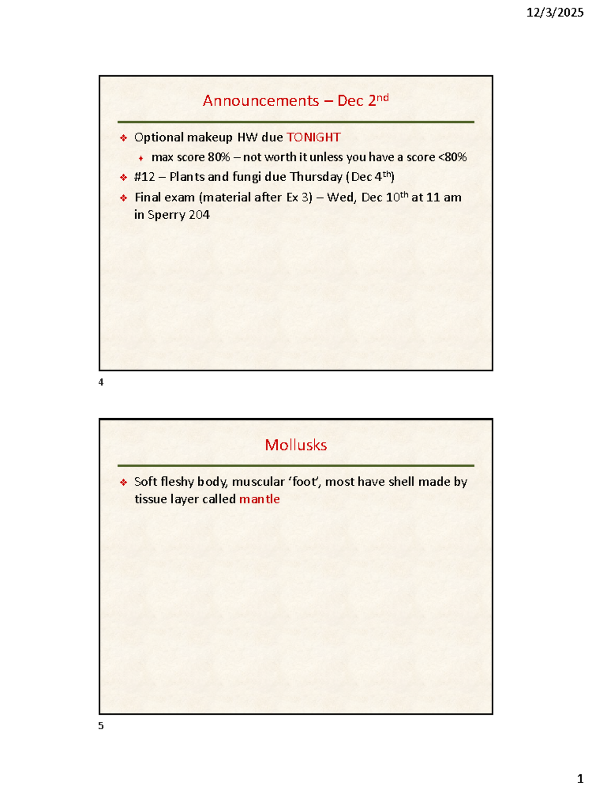 Lecture Notes: Mollusks and Arthropods Overview - Studocu