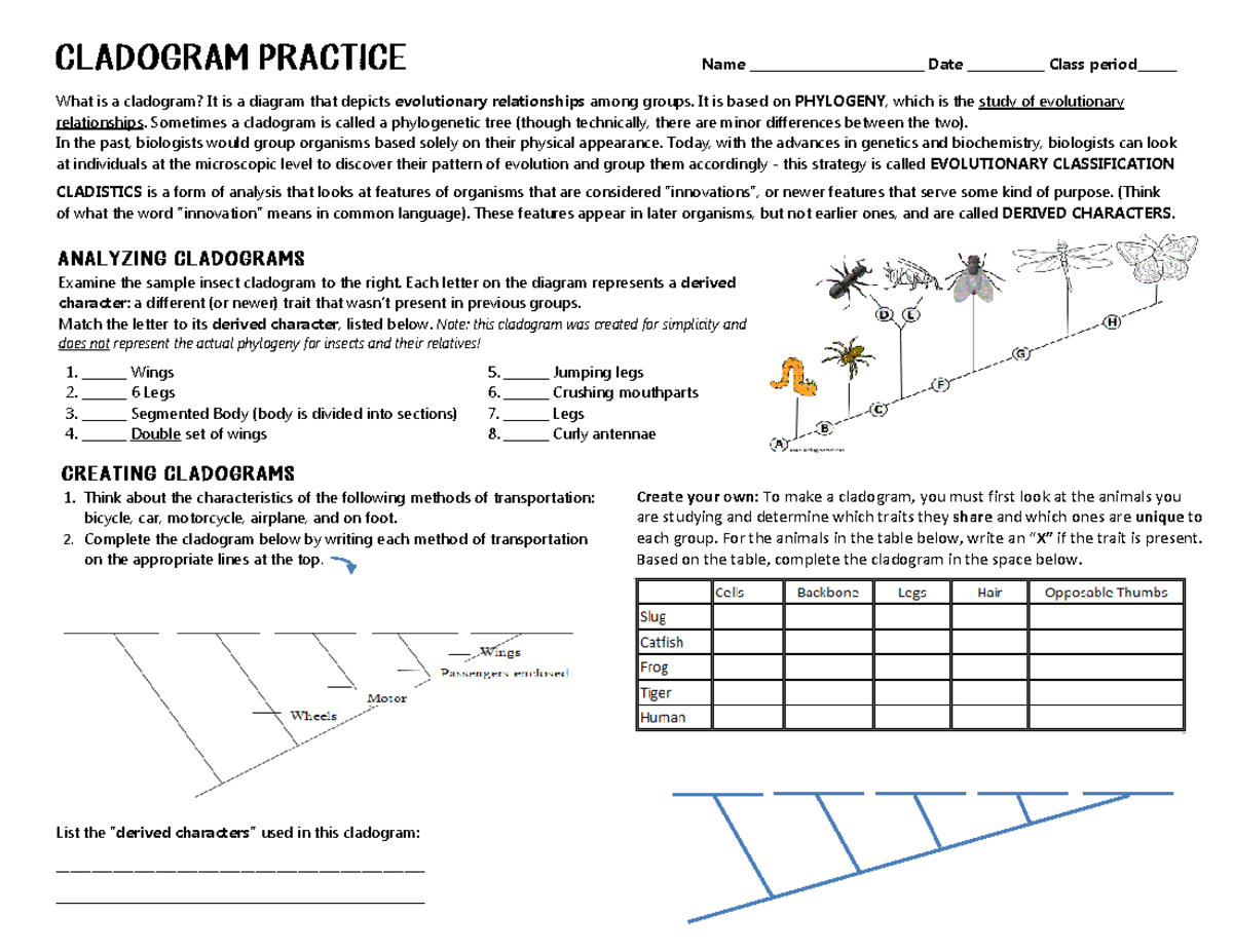 Cladogram Practice Worksheet - Bio 101 - Studocu