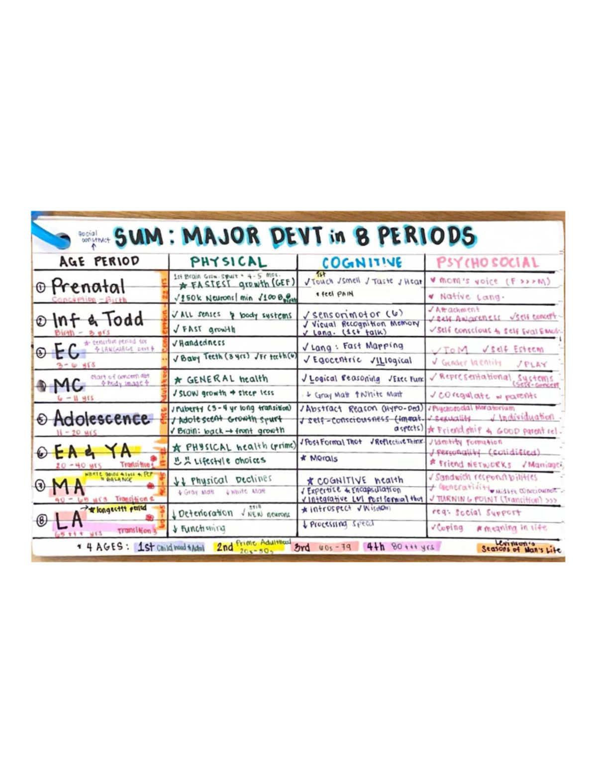 DEV Psych: Major Developmental Stages Across the Lifespan - Studocu