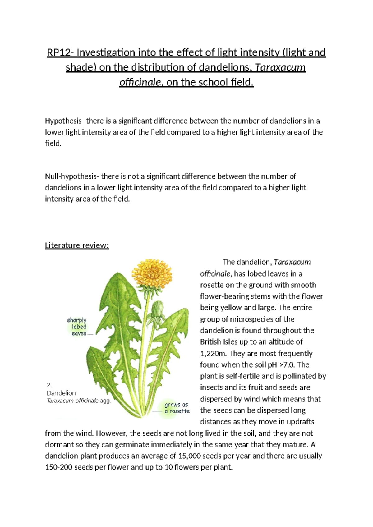 RP12 - Effects of Light Intensity on Dandelion Distribution Analysis ...