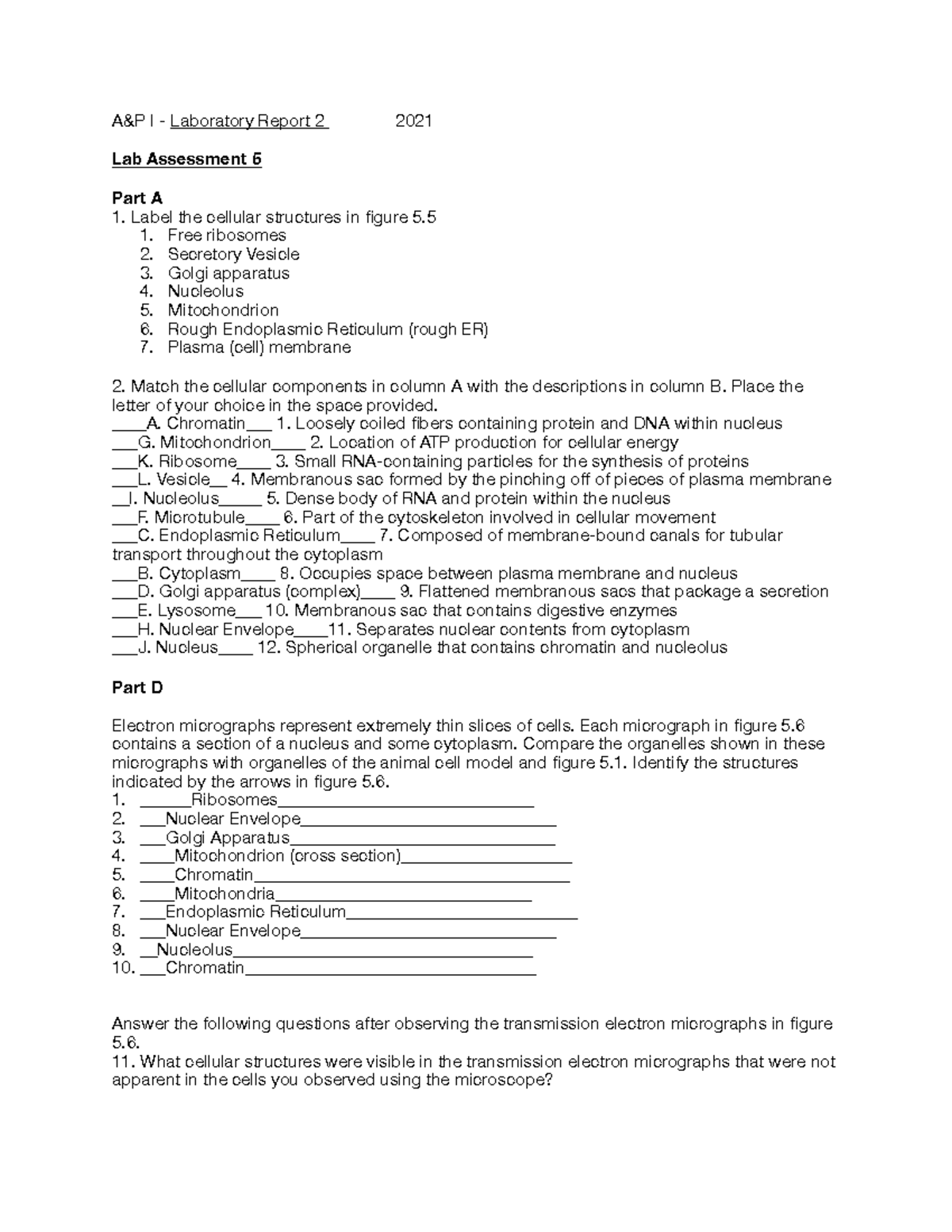 A&P I Lab Report 2: Cellular Structures and Electron Microscopy ...