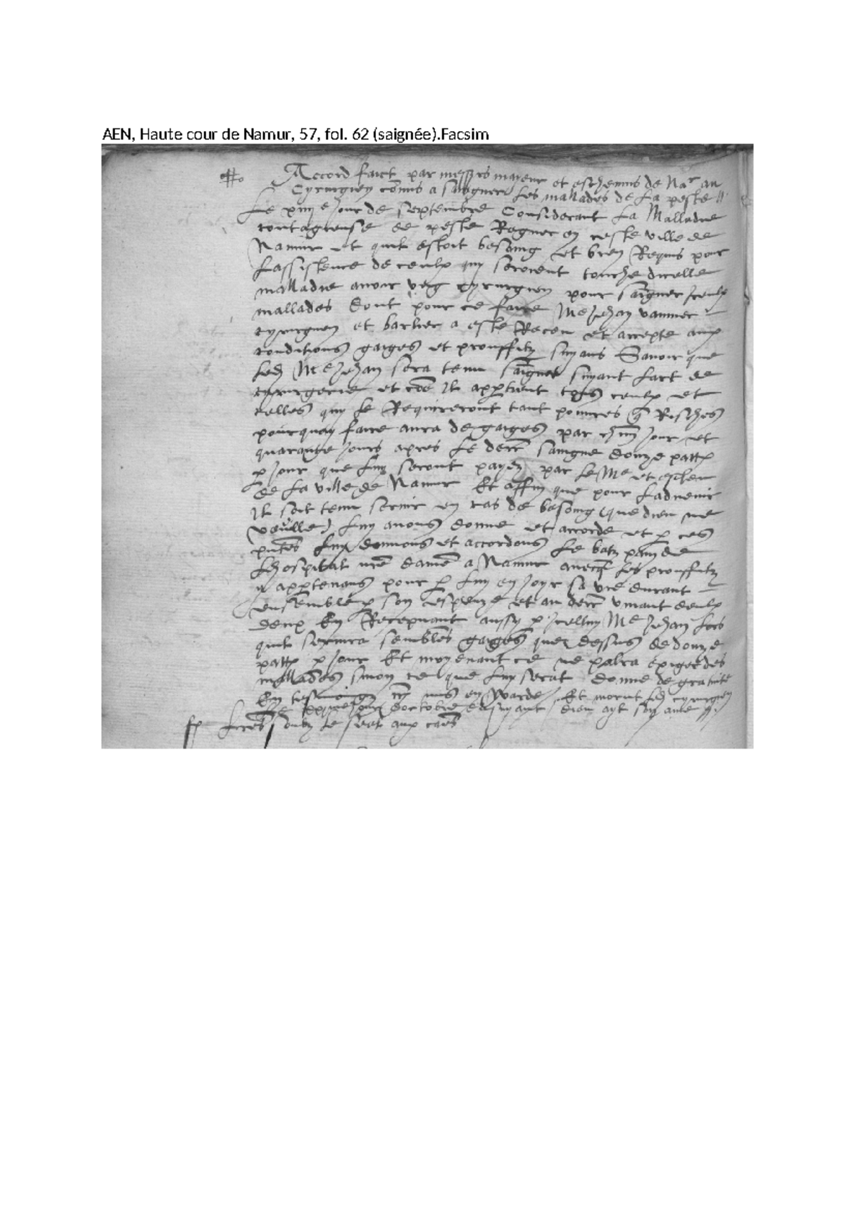 AEN, Haute cour de Namur, 57, fol. 62 (Saignée) Analysis - Studocu