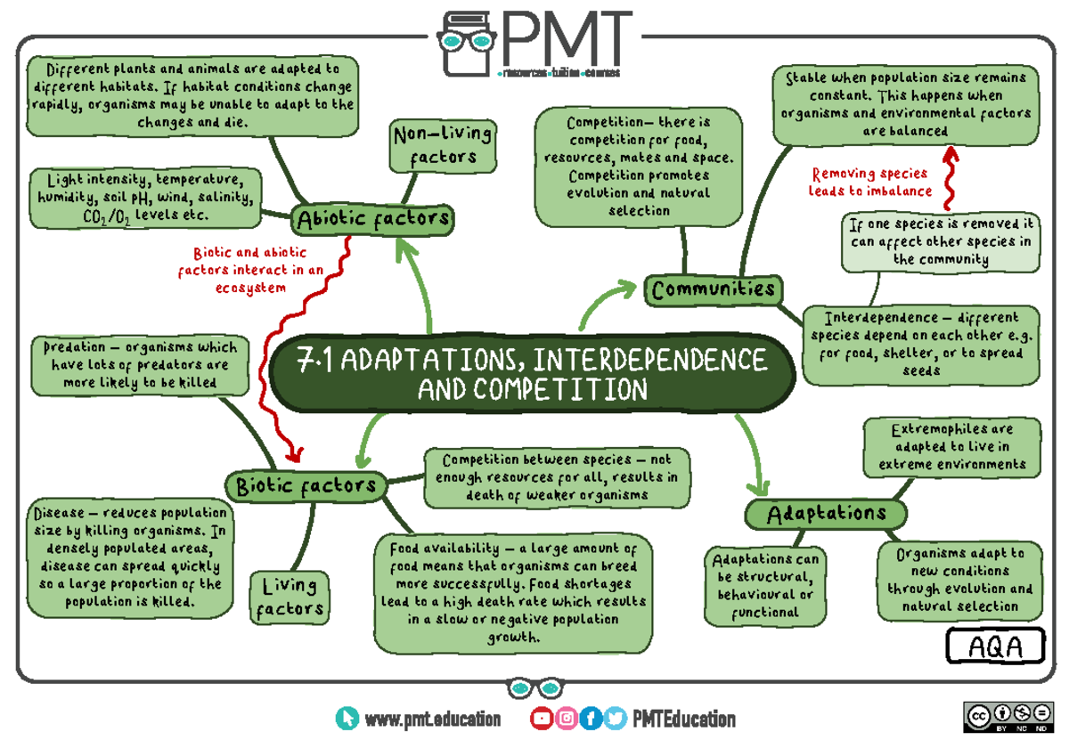 Mind Map 7 - mind map - 7 ADAPTATIONS, INTERDEPENDENCE AND COMPETITION ...