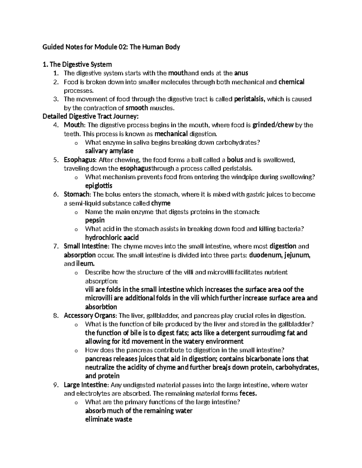 Module 02 Guided Notes: The Human Body & Digestive System Overview ...