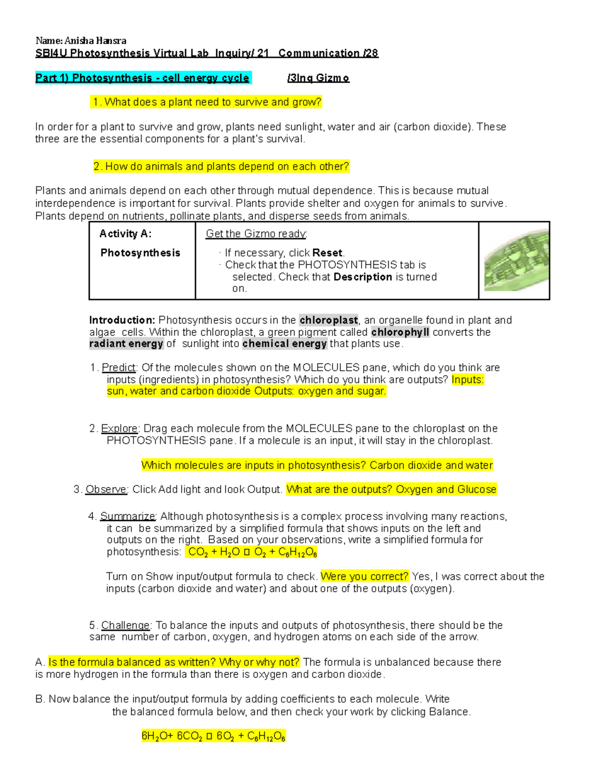 SBI4U Photosynthesis Virtual Lab Inquiry - 2021 Investigation Report ...