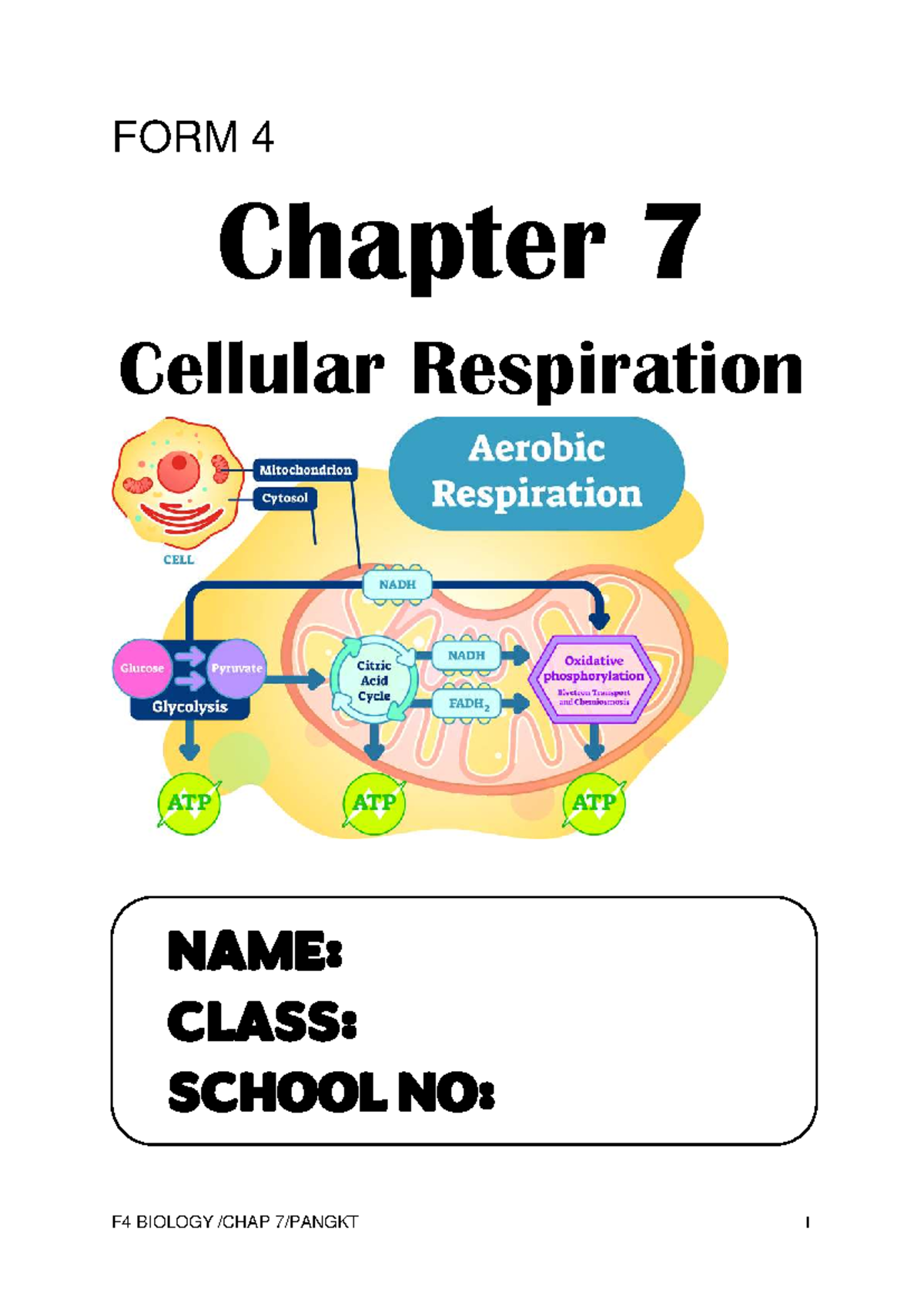 KSSM Biology F4 Chapter 7: Cellular Respiration and Energy Production ...