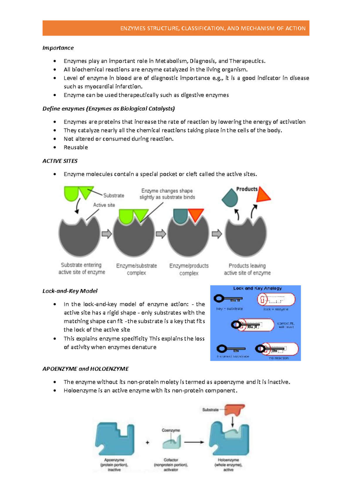 ENZ 101: Enzymes - Structure, Classification & Mechanism of Action ...