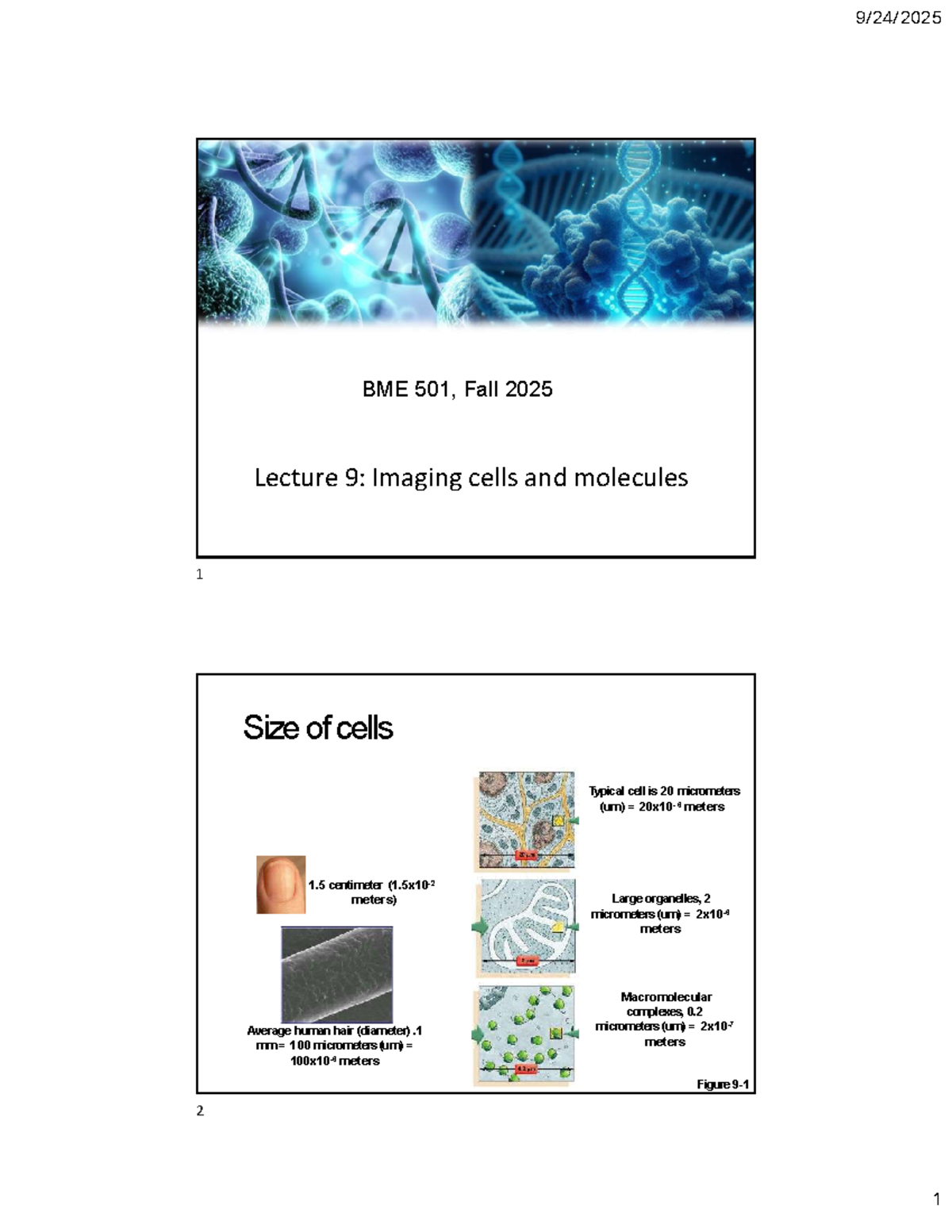 BME 501, Fall 2025 Lecture 9: Imaging Cells & Molecules Overview - Studocu