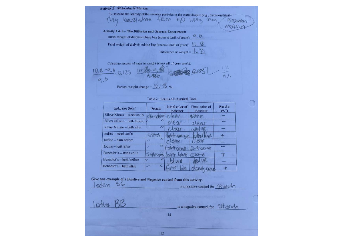 BIO 161 Lab Report: Molecules in Motion & Diffusion/Osmosis Experiment ...