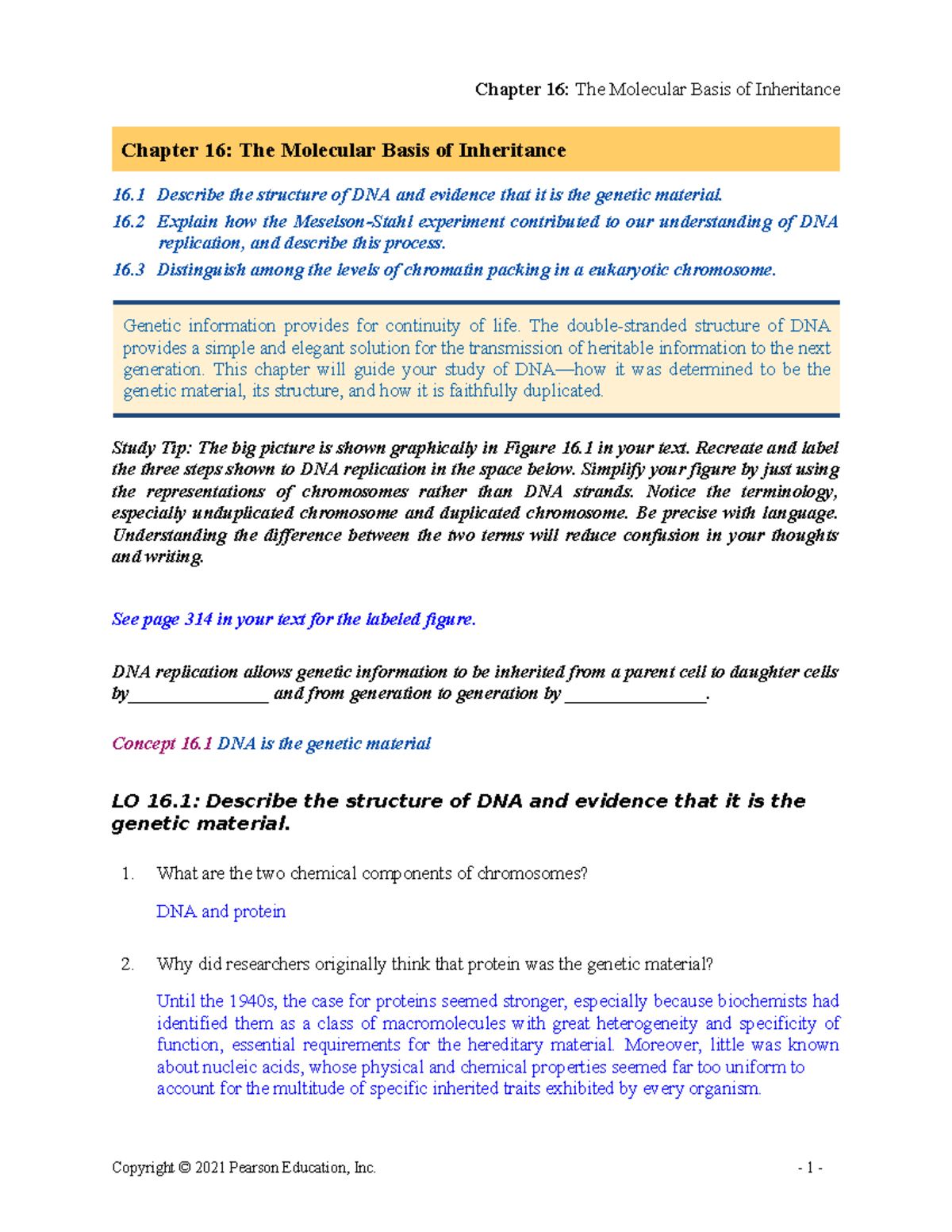 Ch 16 - Molecular Basis of Inheritance Guided Reading Answer Key - Studocu
