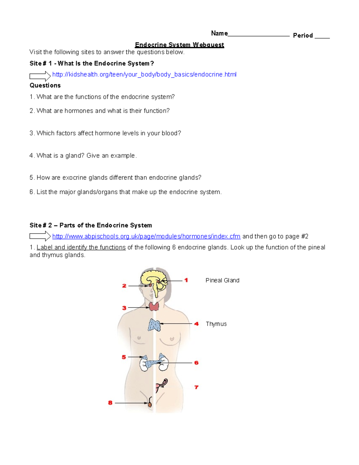 Endocrine System Webquest: Exploring Glands and Hormones - Studocu