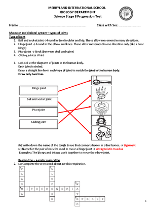 MERRYLAND INTERNATIONAL SCHOOL BIOLOGY G7 CELL ORGANELLES FACT SHEET ...