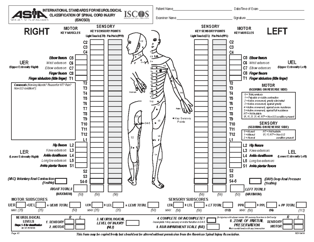 Classification and Grading of Spinal Cord Injury (ISNCSCI) Guide - Studocu