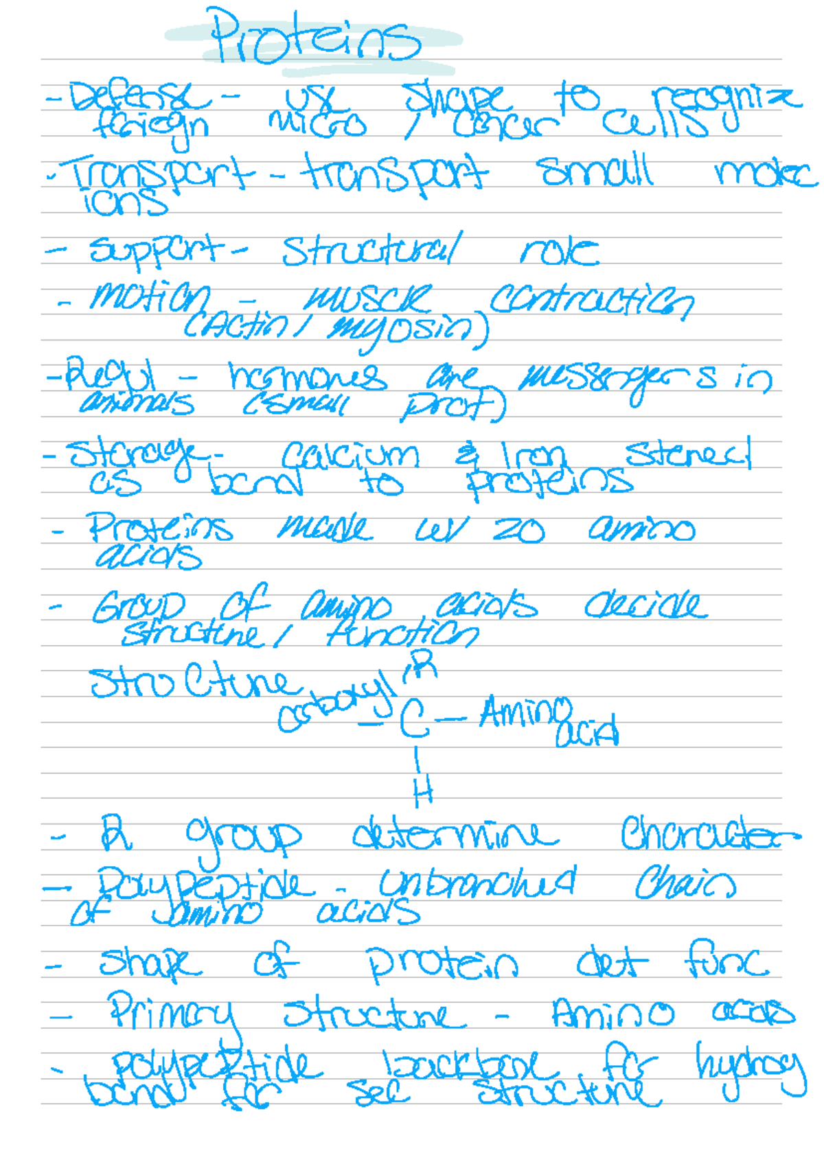 Midterm Study Guide for Course XYZ: Key Concepts on Proteins and Lipids - Studocu