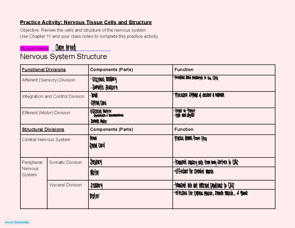 Nervous Tissue Cells & Structure: Practice Activity (Chapter 11) - Studocu