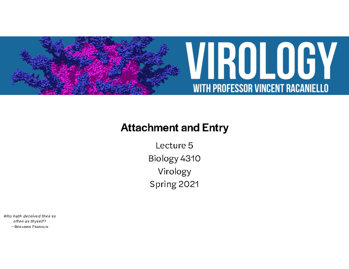 Lec 5 viro - All about Microbiology. - Attachment and Entry Lecture 5 ...