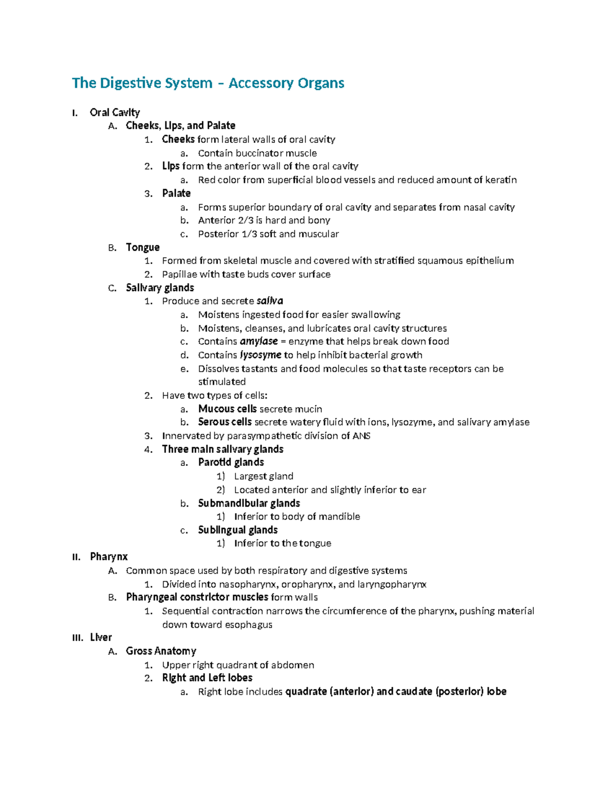 Digestive System Accessory Organs Overview BHA SP23 - Studocu