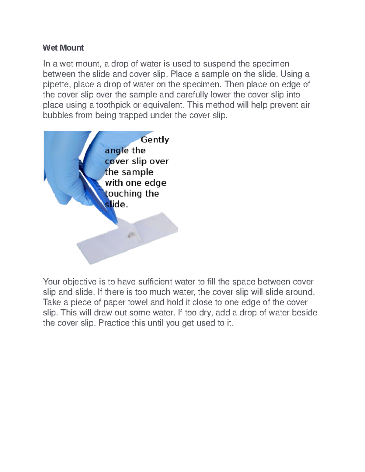 What Is A Wet Mount Microscope