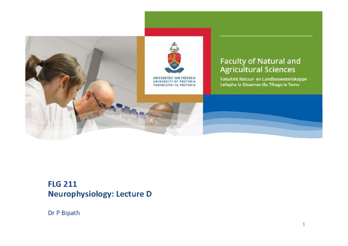 FLG 211 Neurophysiology - Lecture D - ####### FLG 211 ...