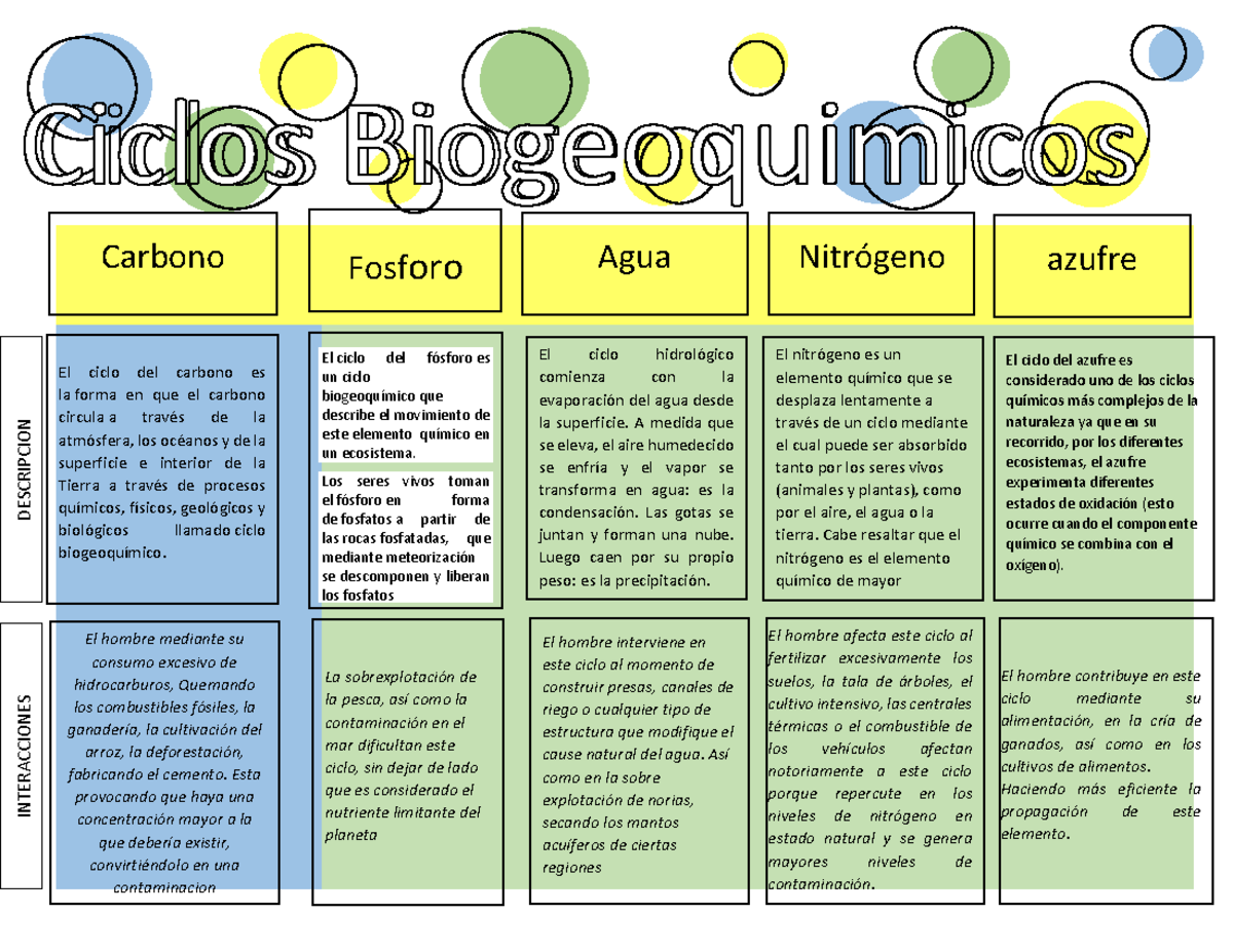 Hoja De Trabajo Sobre El Ciclo Biogeoquímico Esquema De Los CICLOS