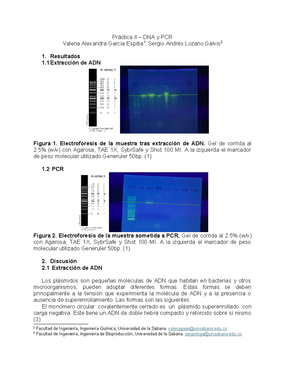 Informe DNA y PCR - Práctica II – DNA y PCR Valeria Alexandra García ...