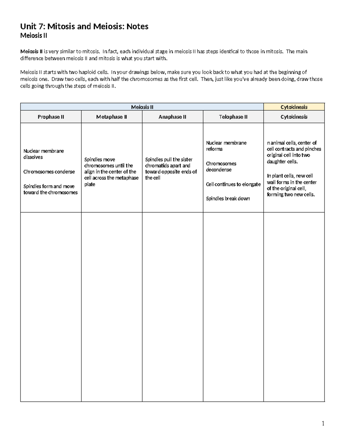 Unit 7: Mitosis & Meiosis - Detailed Notes on Meiosis II - Studocu