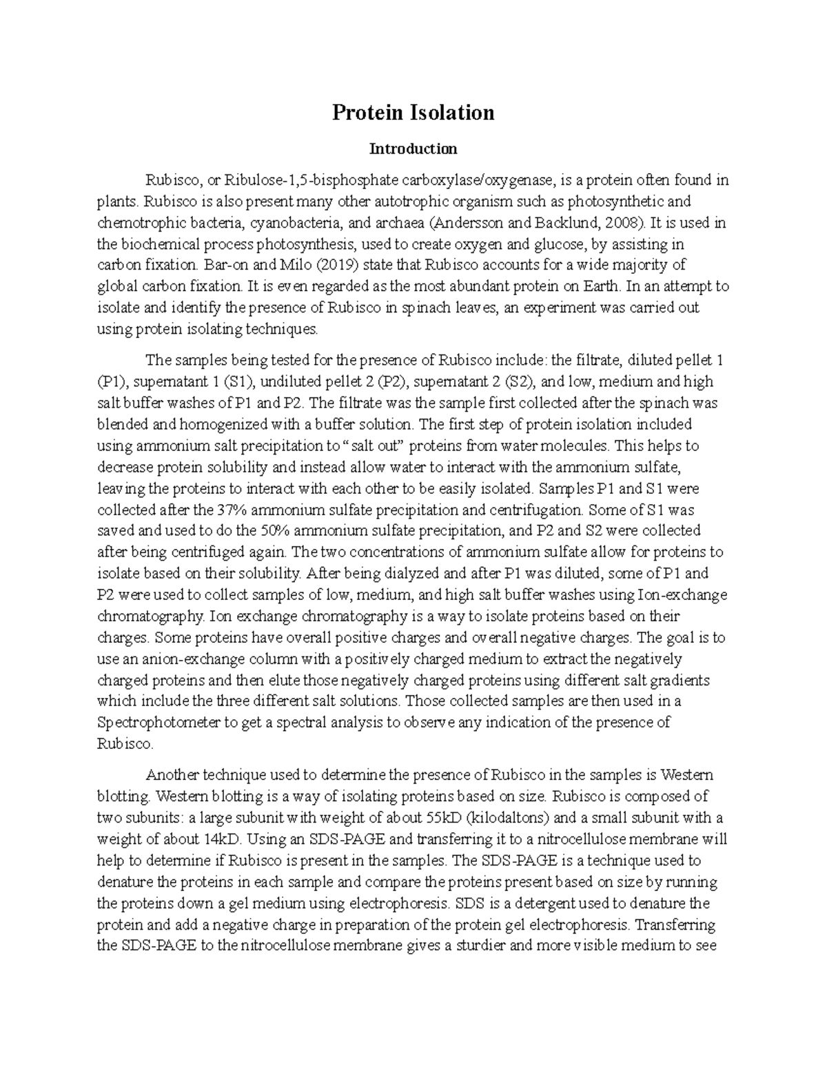 Protein Isolation Lab Report: Analyzing Rubisco from Spinach Leaves - Studocu