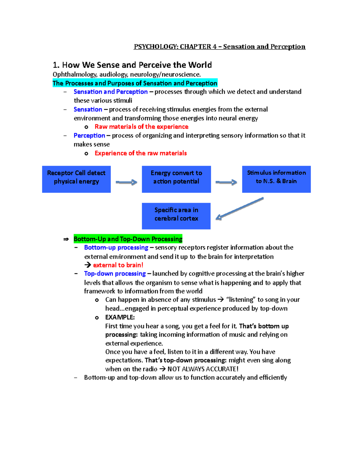 Chapter 4 Notes - Sensation and Perception (PSY 101) - Studocu