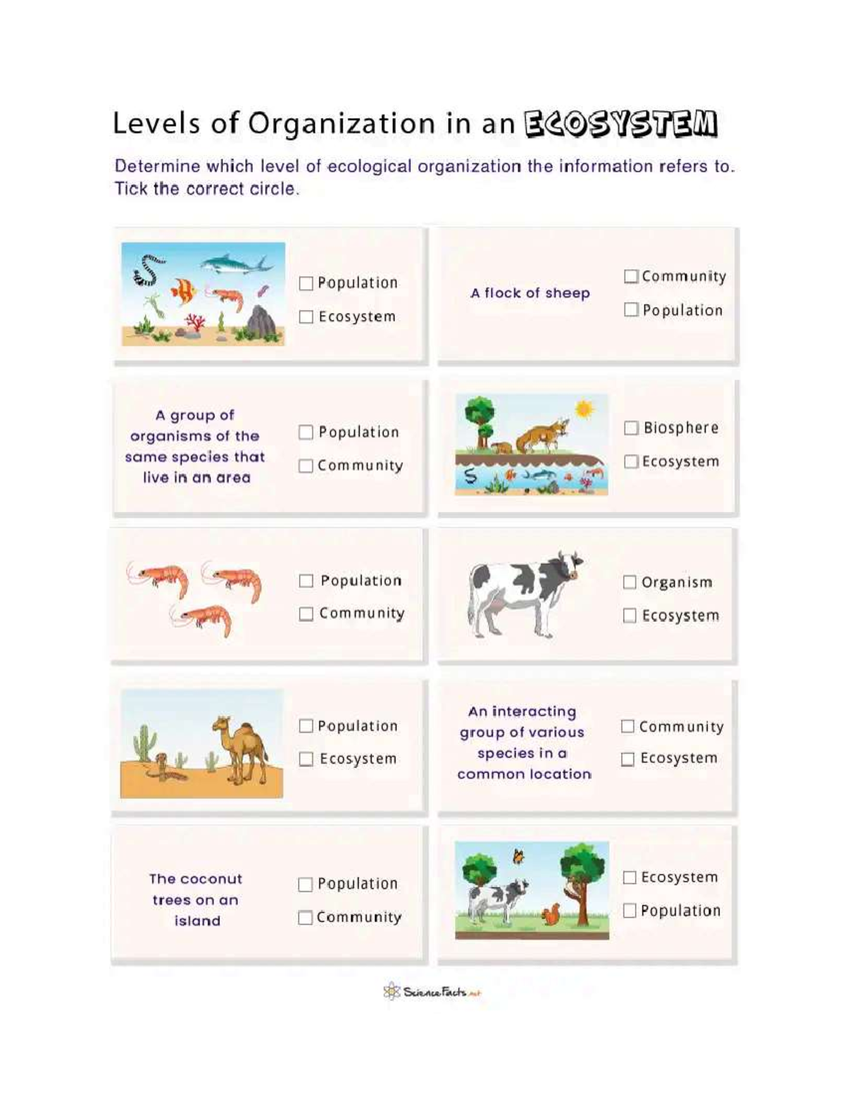 Levels of Organization in an Ecosystem: Quiz Notes - Studocu