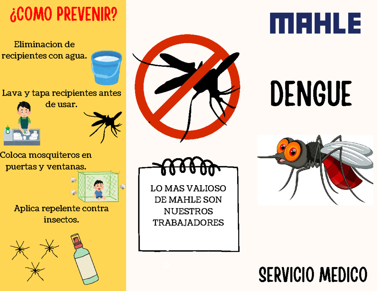 Triptico Dengue: Prevención y Consejos Prácticos - Studocu