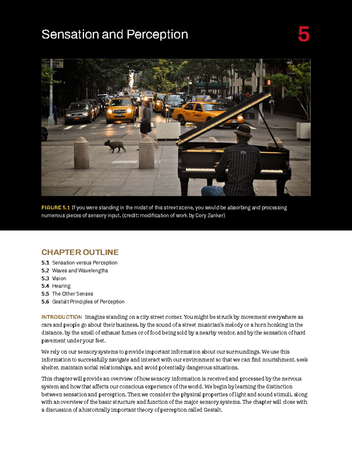 Psychology 5: Sensation and Perception Overview and Key Concepts - Studocu