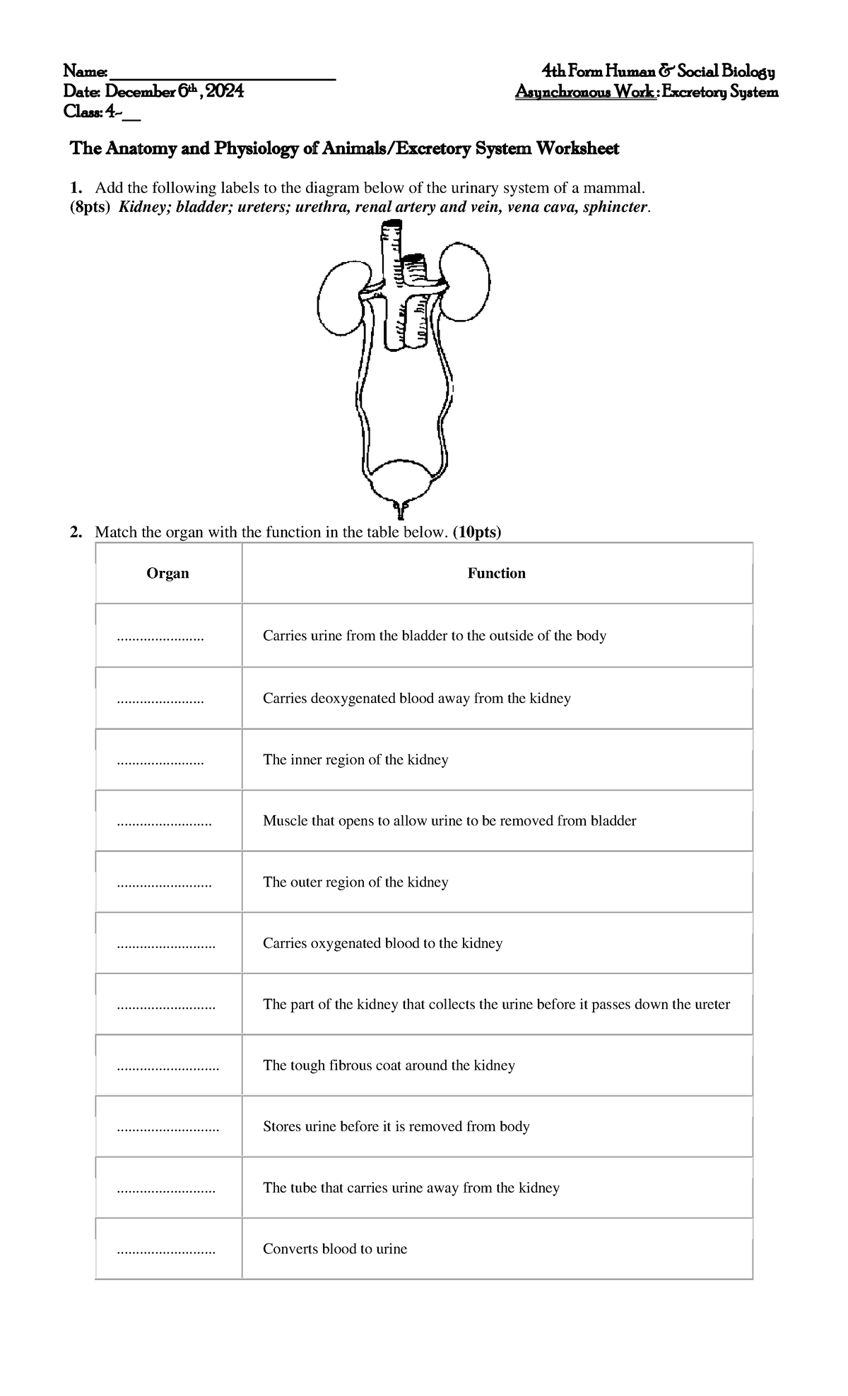 4th Form Human Social Biology: Excretory System Worksheet - Studocu