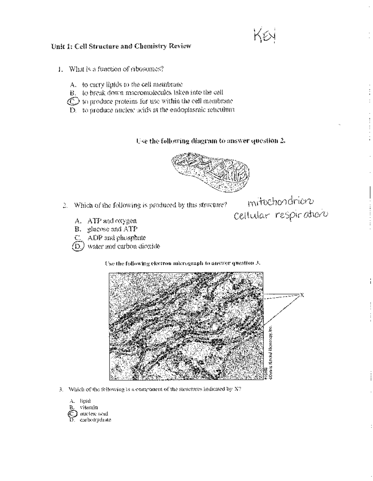 Unit 1: Cell Structure and Chemistry Review Quiz - Studocu