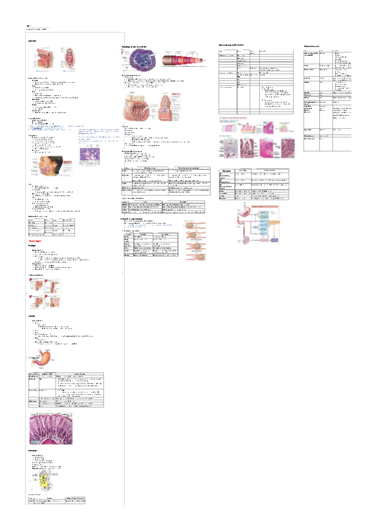 Lsm2212 GIT: Histology and Anatomy of the Oral Cavity and GI Tract ...