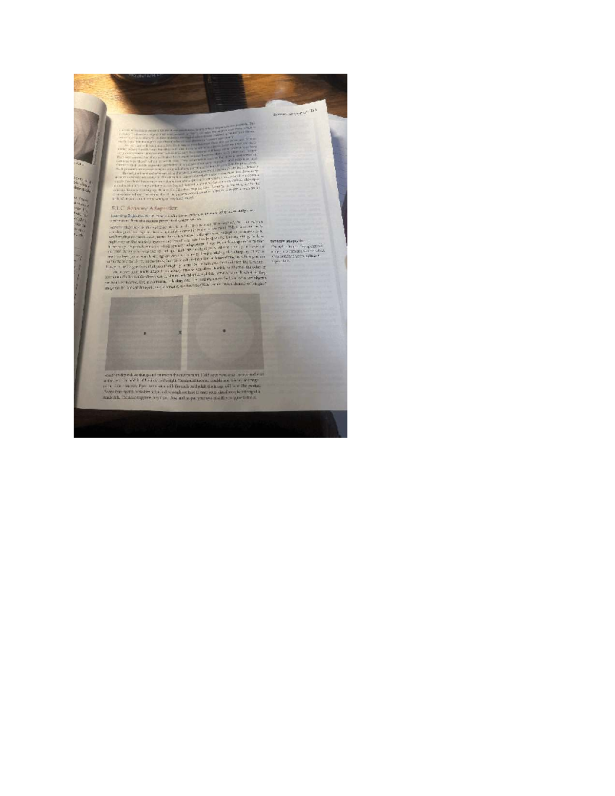 Final Exam Study Guide for ABC123: Sensation and Perception Insights ...