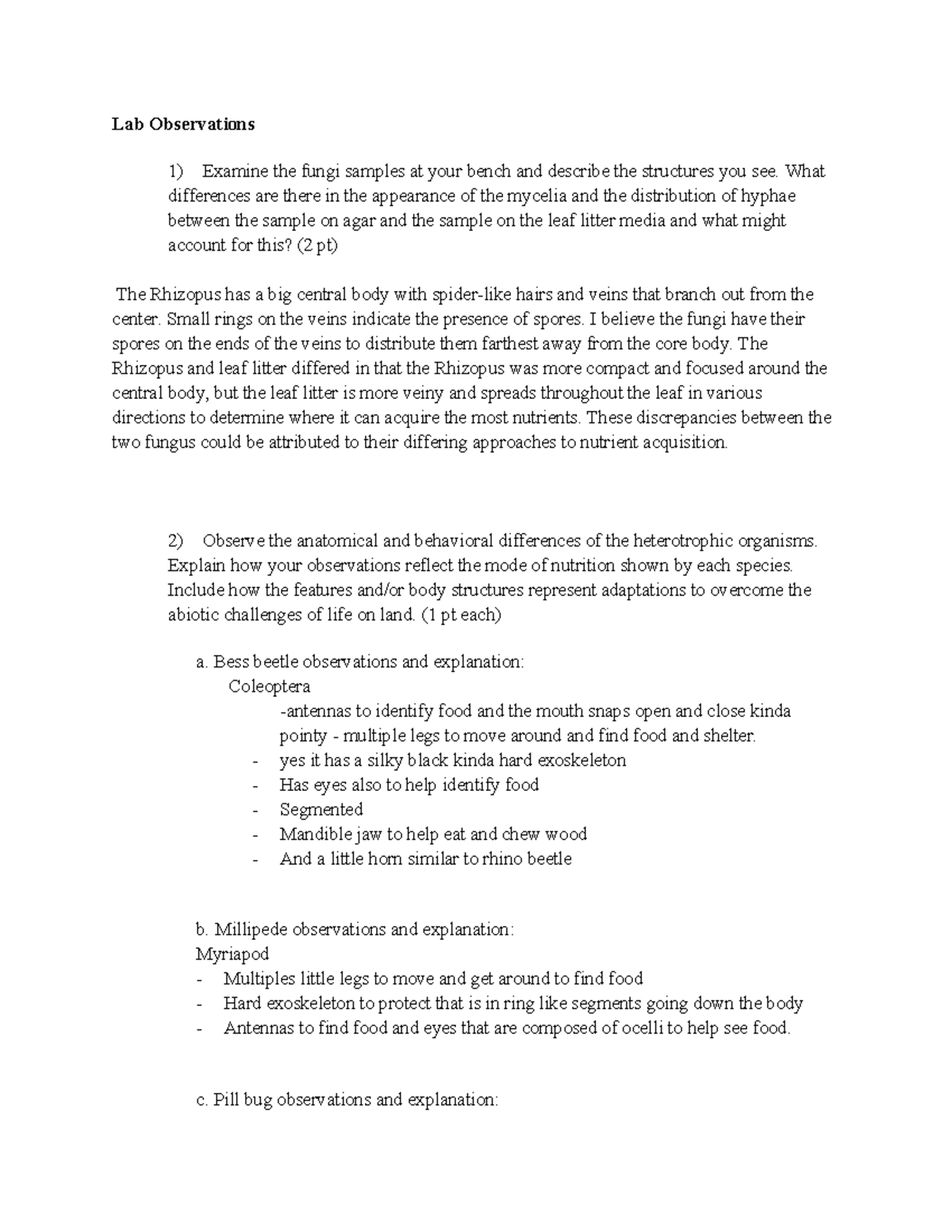 1108L HF Clark M - Lab Assignment: Fungi & Heterotrophic Organism Observations - Studocu