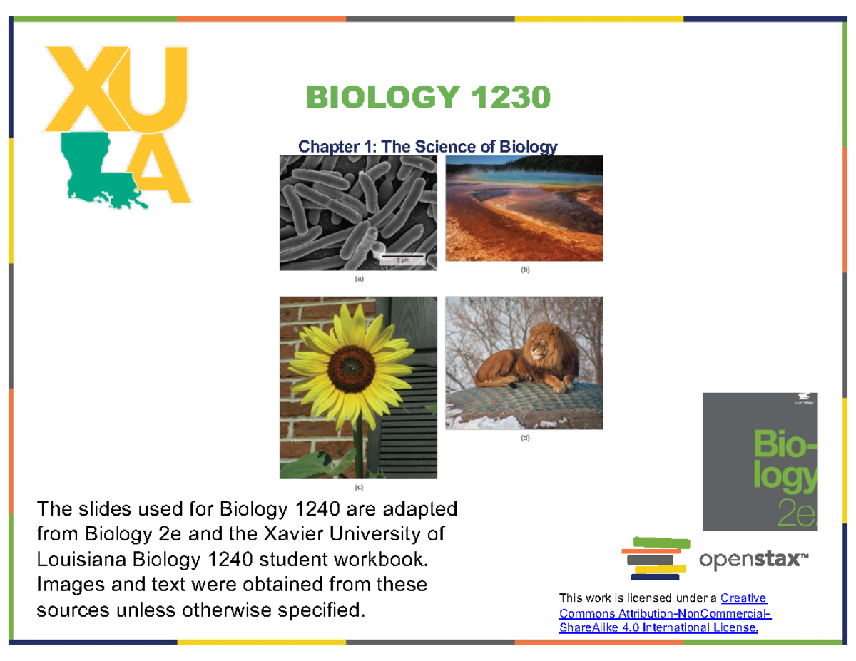 Biology 1230: Chapter 1 - The Science of Biology Study Guide - Studocu