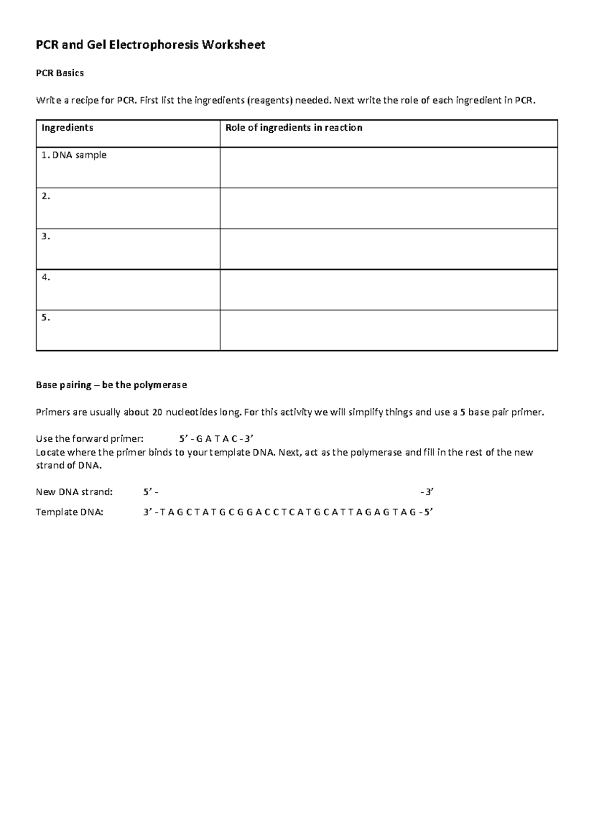 PCR and Gel Electrophoresis Worksheet: Key Concepts and Exercises - Studocu