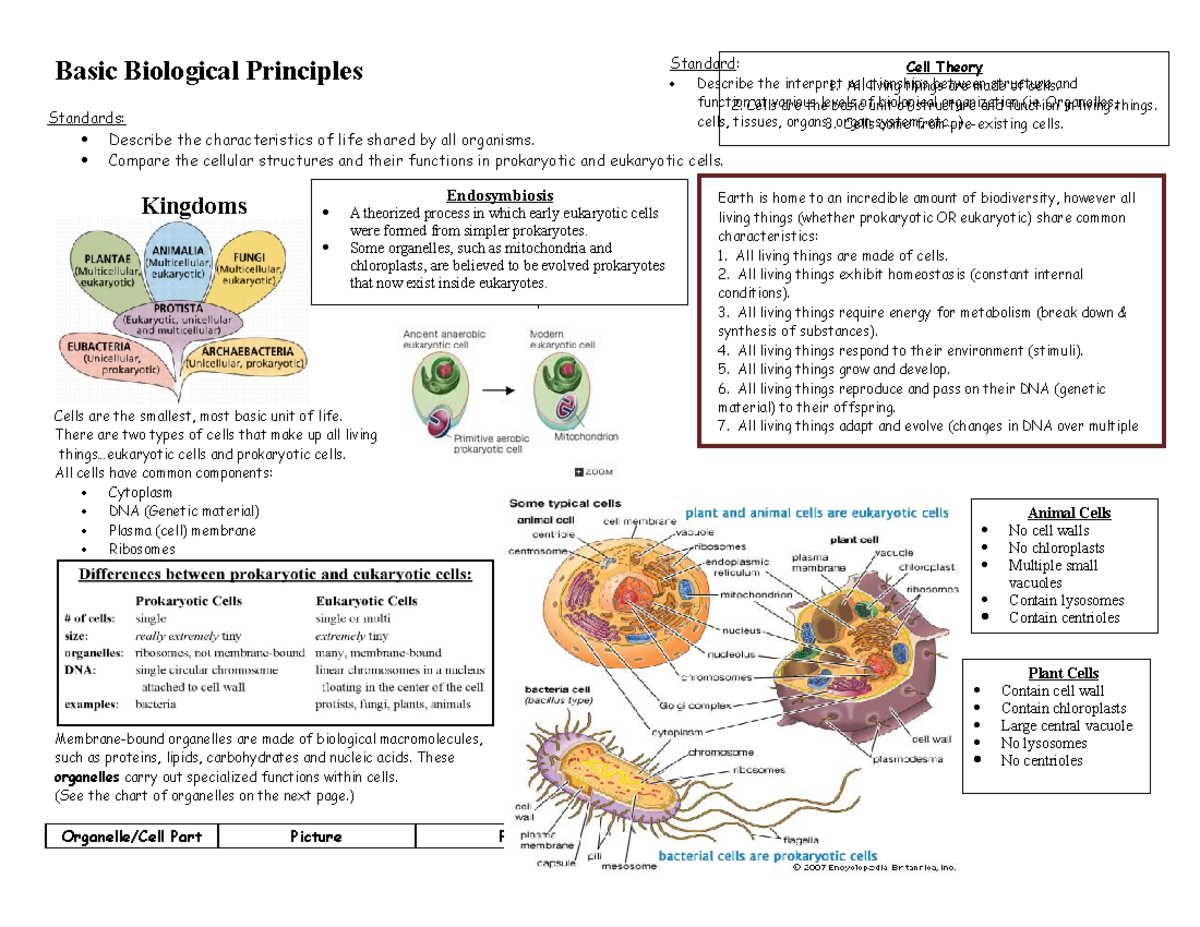 BIOLOGY - Final Exam Review on Cell Structure & Function - Studocu