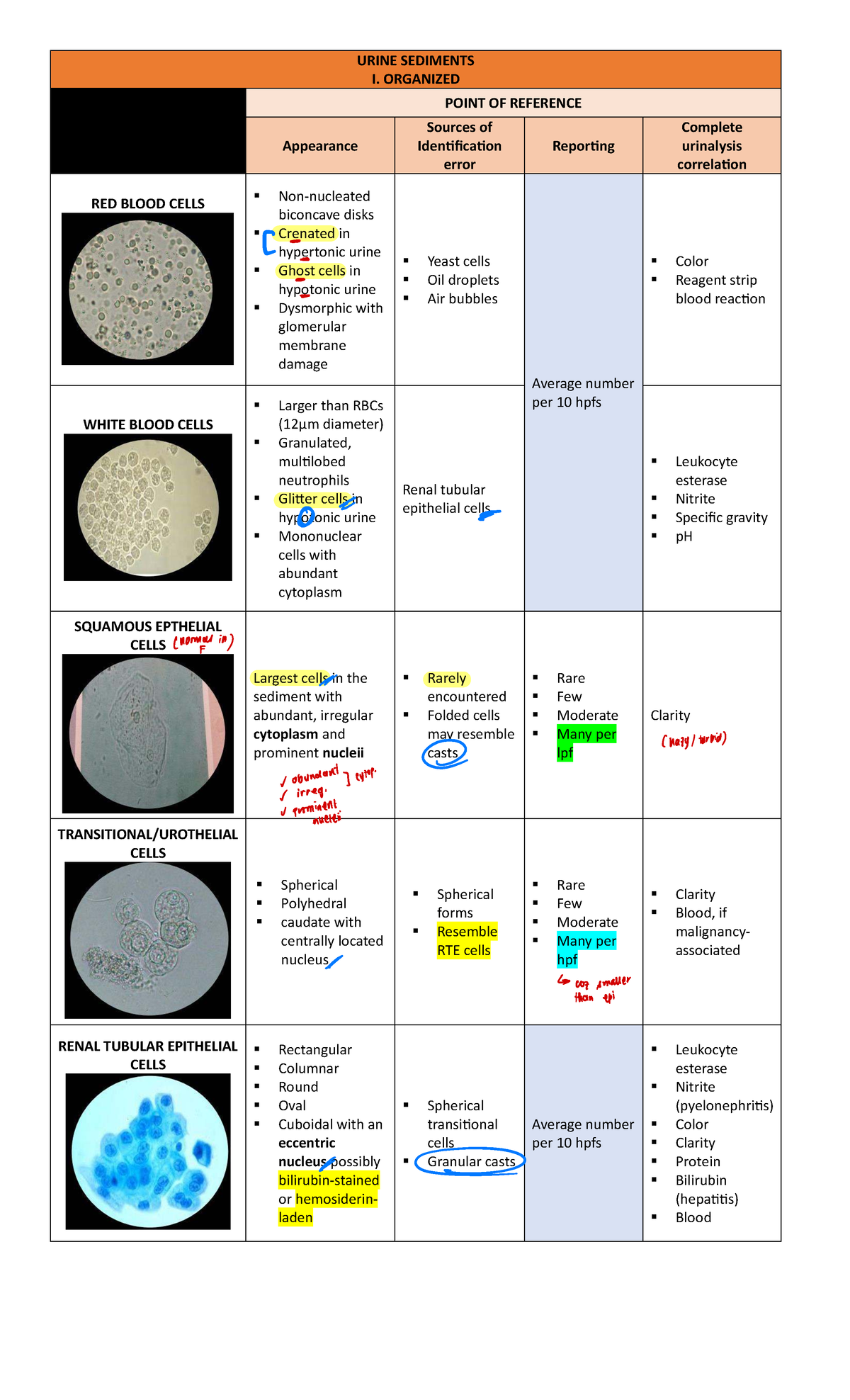 Urine Sediments Study Guide: Identification & Analysis (BIO 101) - Studocu