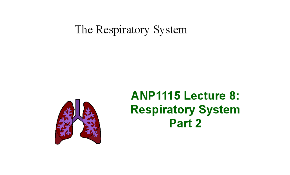 ANP1115 Lecture 8: Advanced Insights into the Respiratory System Part 2 ...