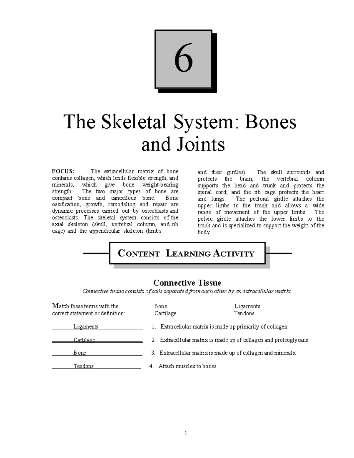 Skeletal System: Comprehensive Bones and Joints Worksheet for BIO 101 ...