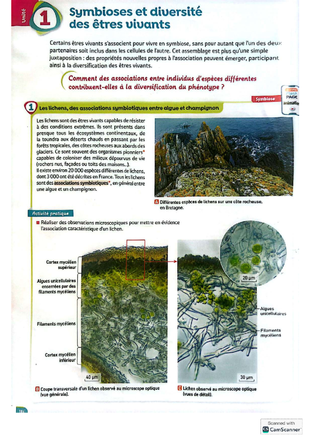 Unité 1 : Symbioses et Diversité des Êtres Vivants - Notes de Cours ...