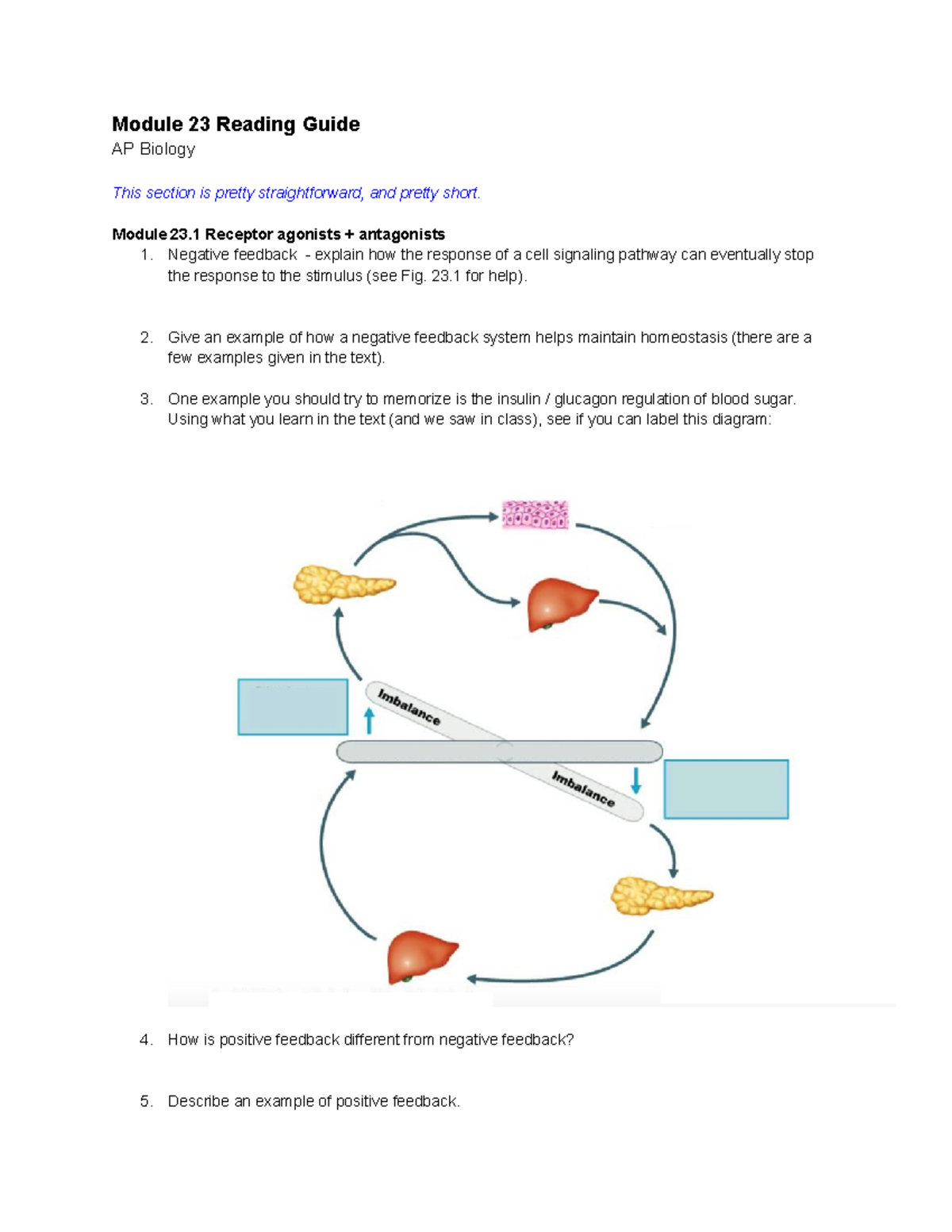 AP Biology Module 23: Receptor Agonists & Feedback Mechanisms Guide ...