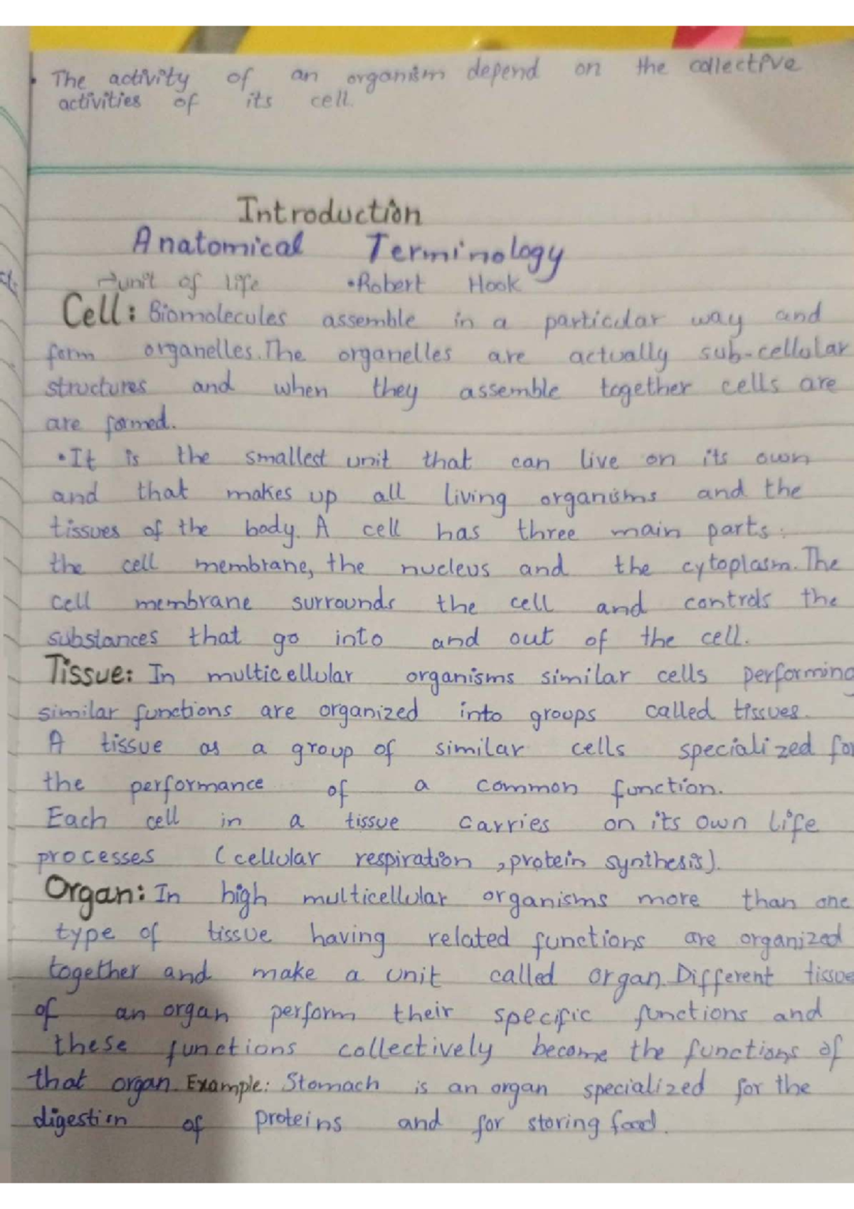Cell Organelle Overview - A_WB Biology Lecture Notes - Studocu