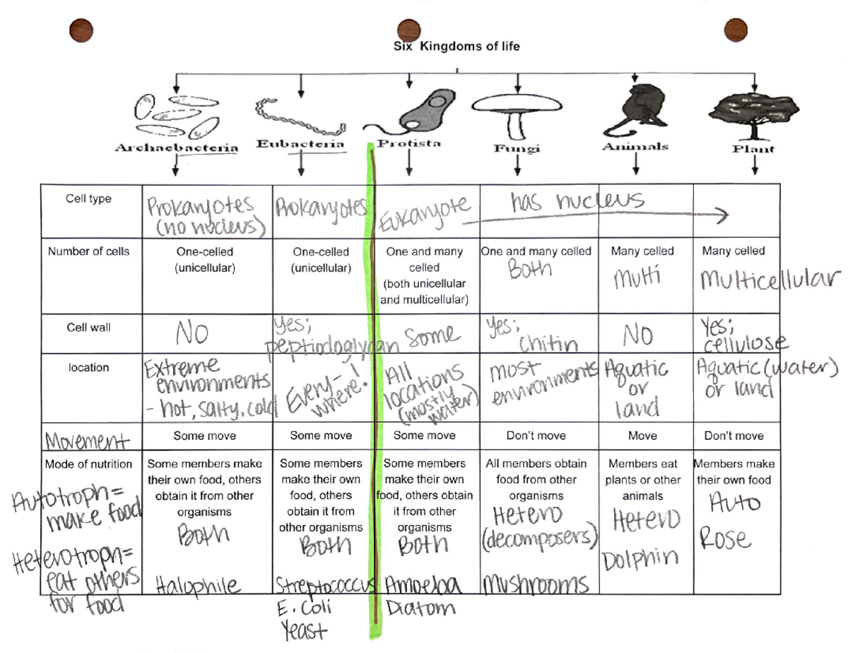 OL Kingdom of Life Chart: Overview of Biological Kingdoms - Six ...