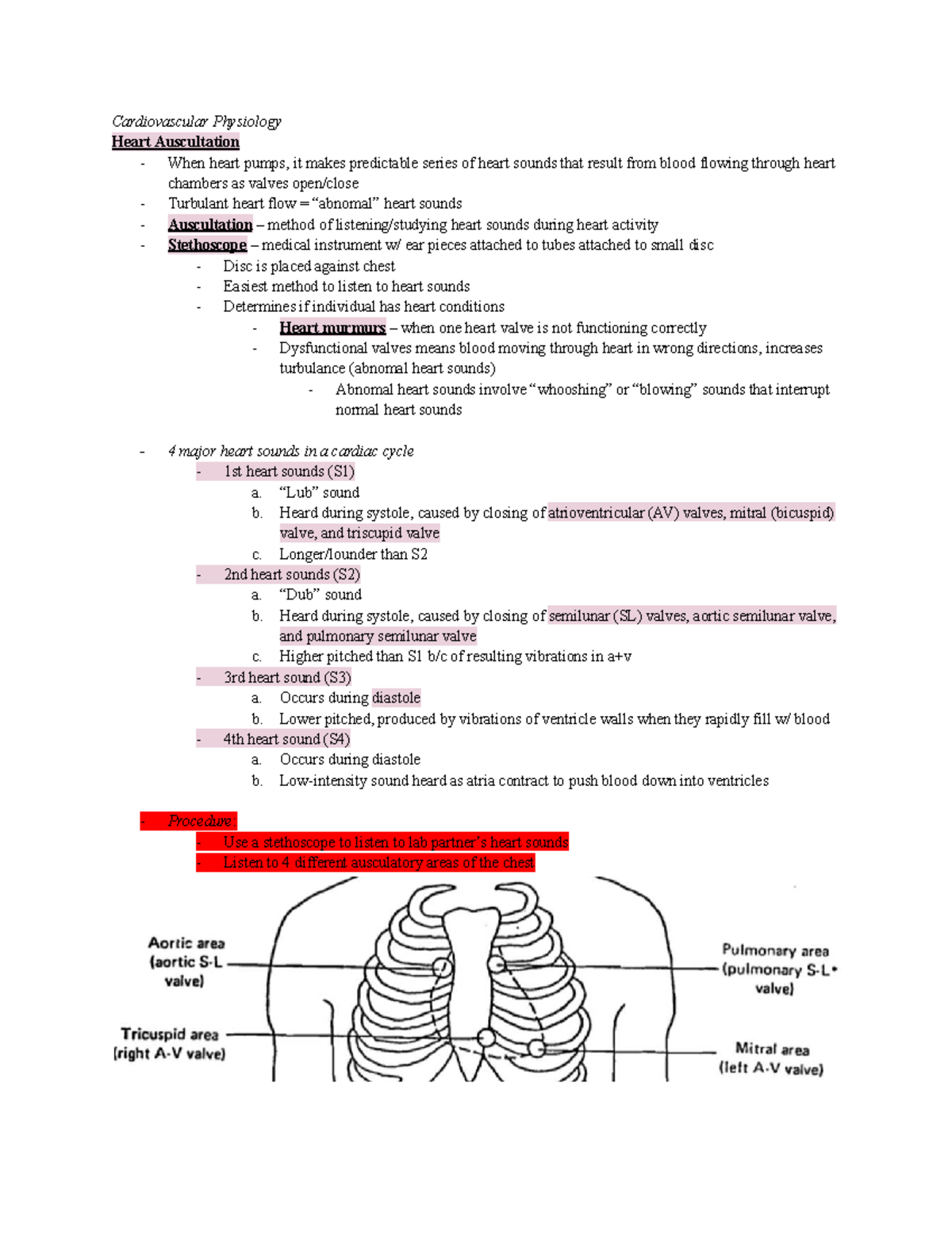 Anatomy II Lab Quiz 3: Cardiovascular Physiology & Auscultation - Studocu