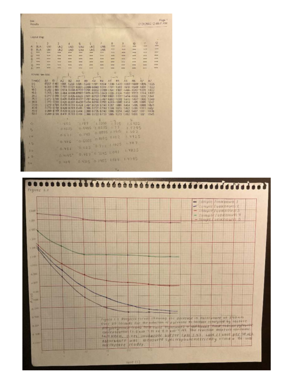 Lab 3: Enzyme Kinetics Write-Up for Lactate Dehydrogenase - Studocu