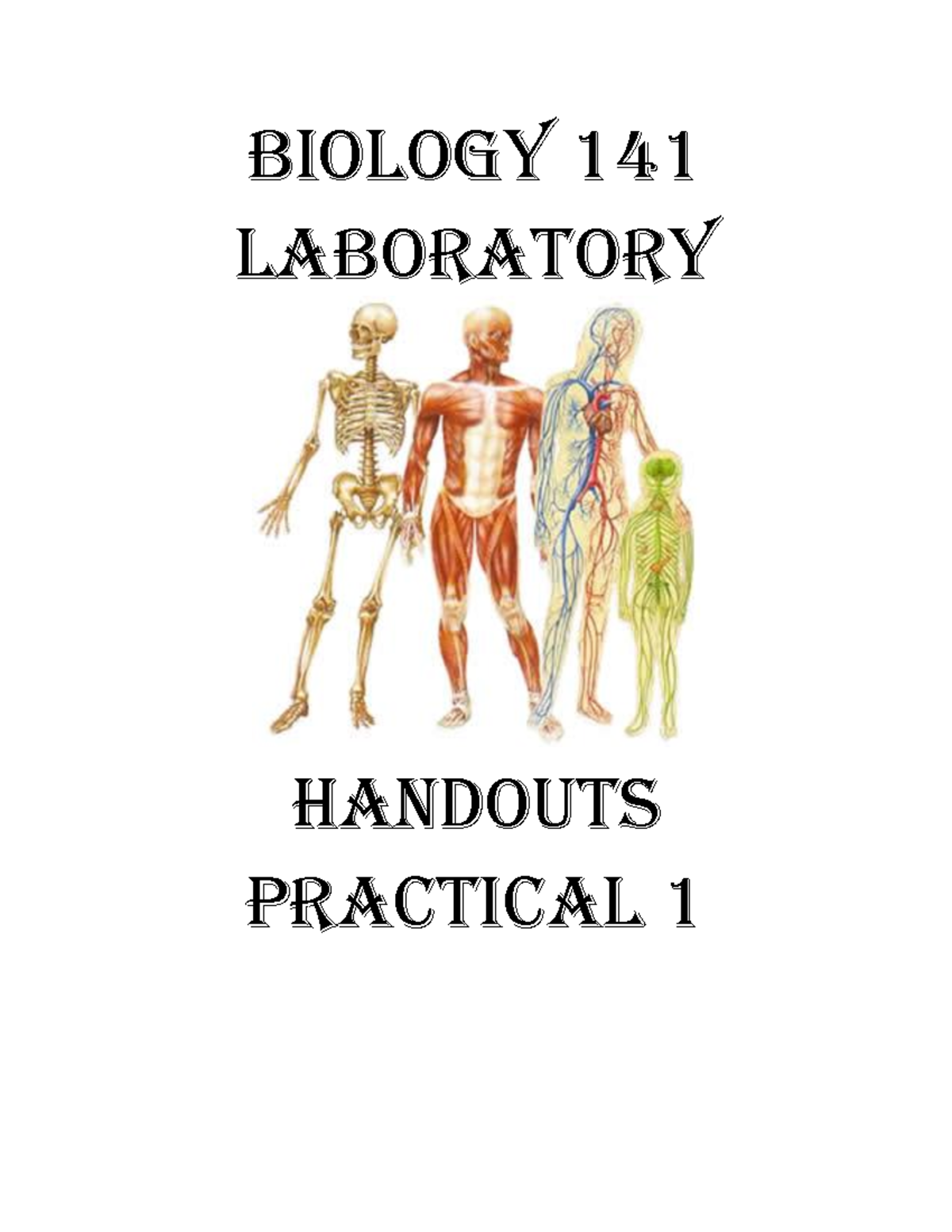 Biology 141 Lab Handouts: Human Torso & Organ Systems Overview - Studocu